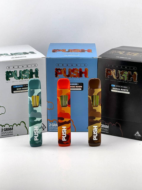 PUSH V1 2g Disposable - Vol 1 – Smoked Out